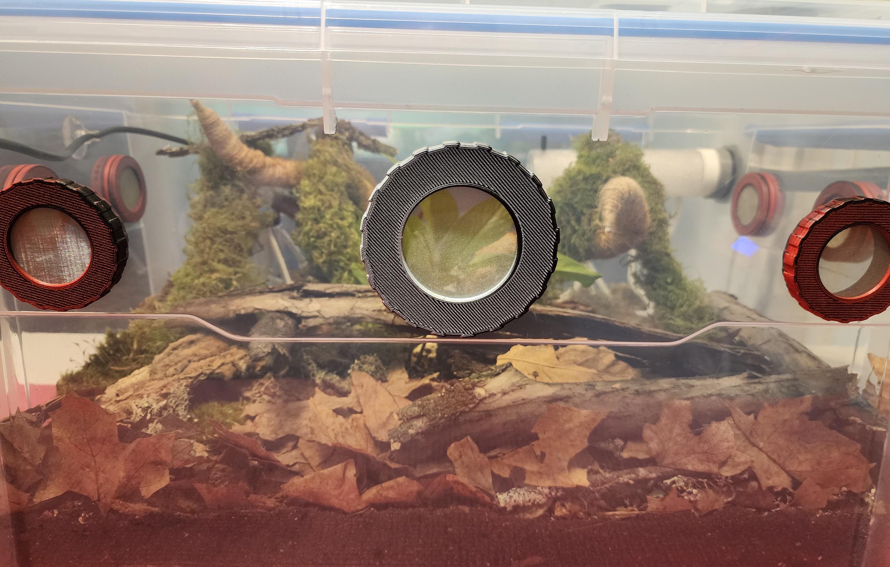 Feed/mist Port Vents for Isopods, Millepedes, Spiders and Many Other ...