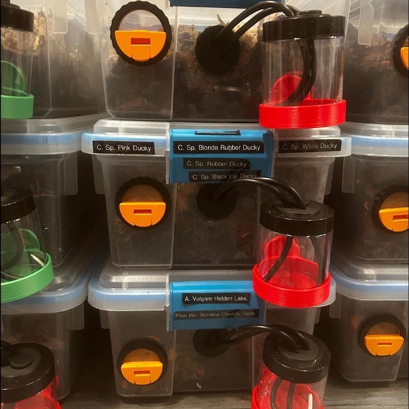 Container House - Etsy