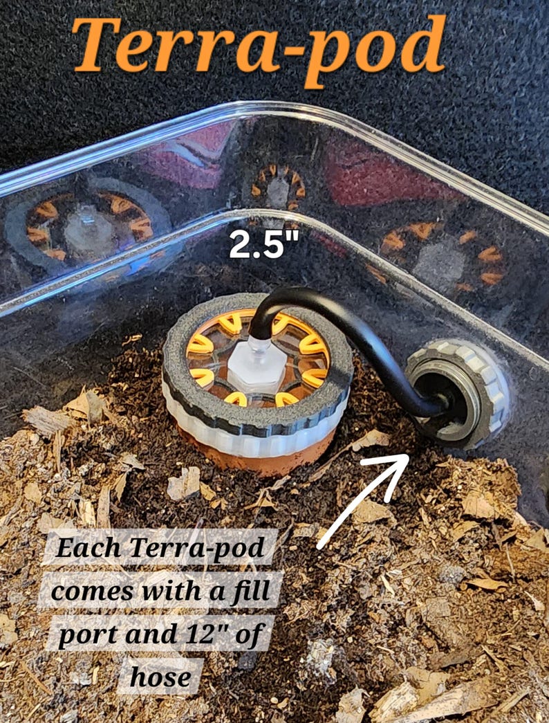 Terra-pod, Slow Wicking Ollas Style Pods for Invertebrate Bins ...