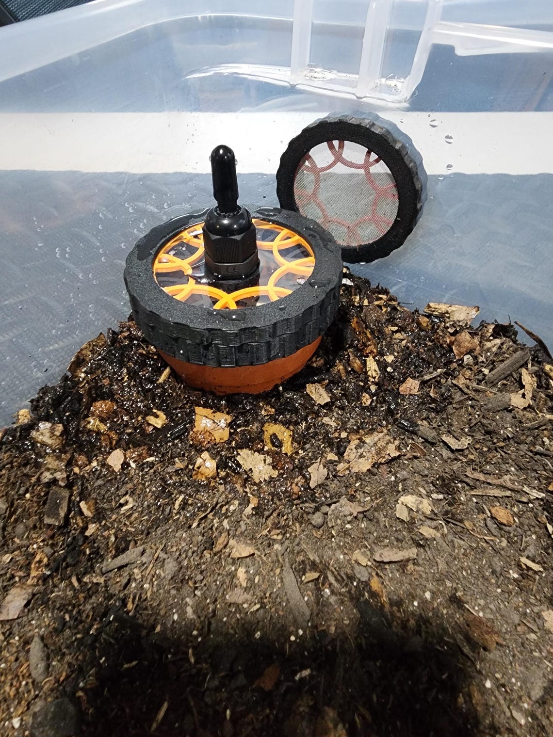 Terra-pod, Slow Wicking Ollas Style Pods for Invertebrate Bins ...