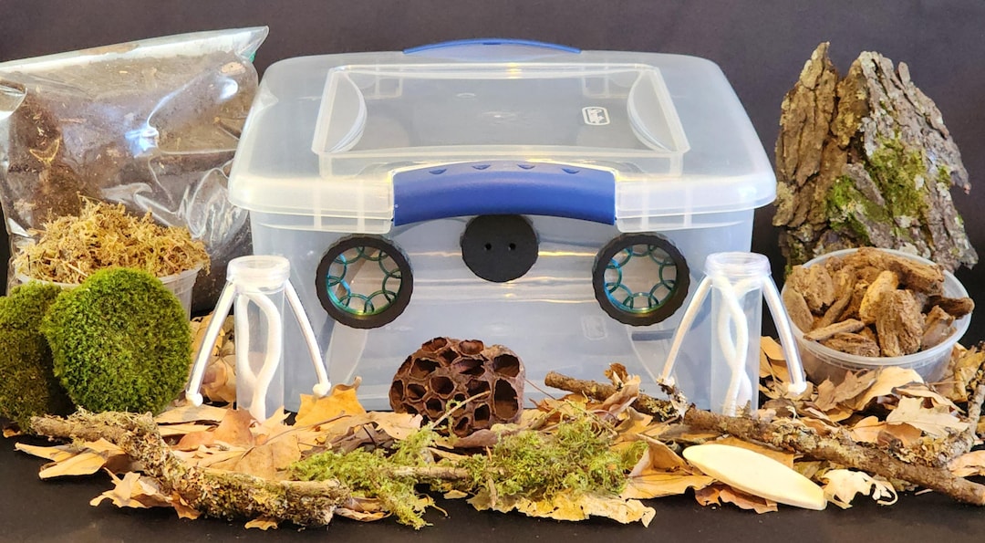 15 Qt. Invertabrate Habitat Kit - Etsy