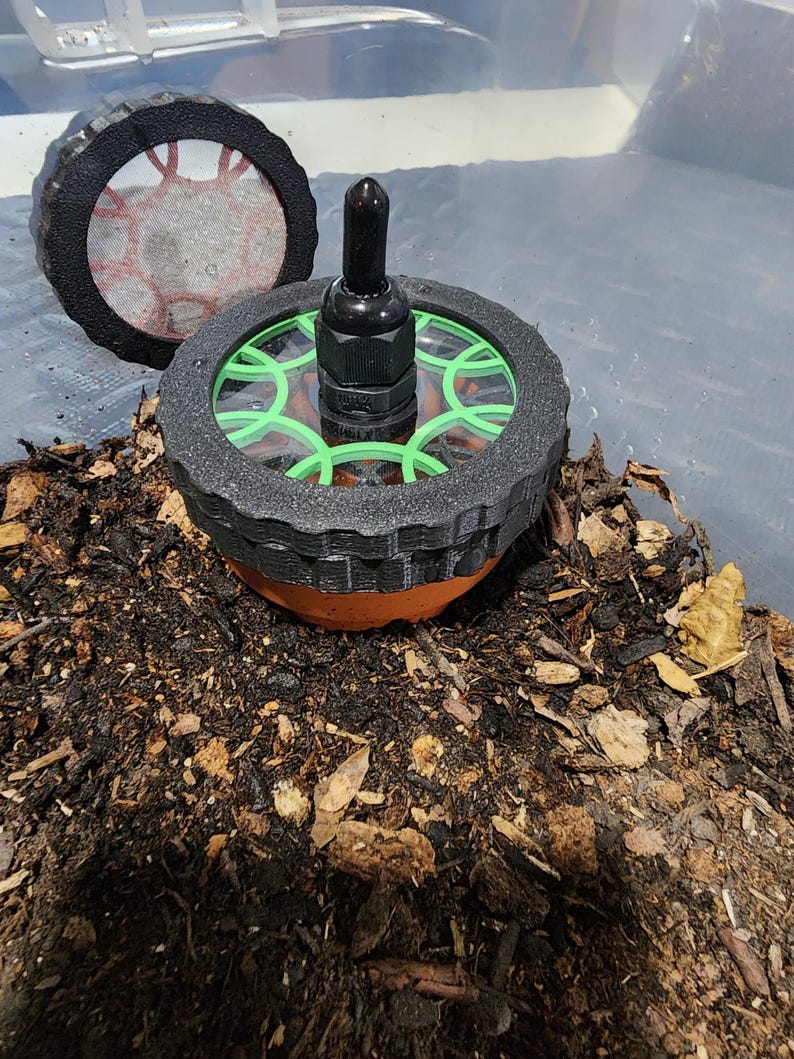 Terra-pod, Slow Wicking Ollas Style Pods for Invertebrate Bins ...