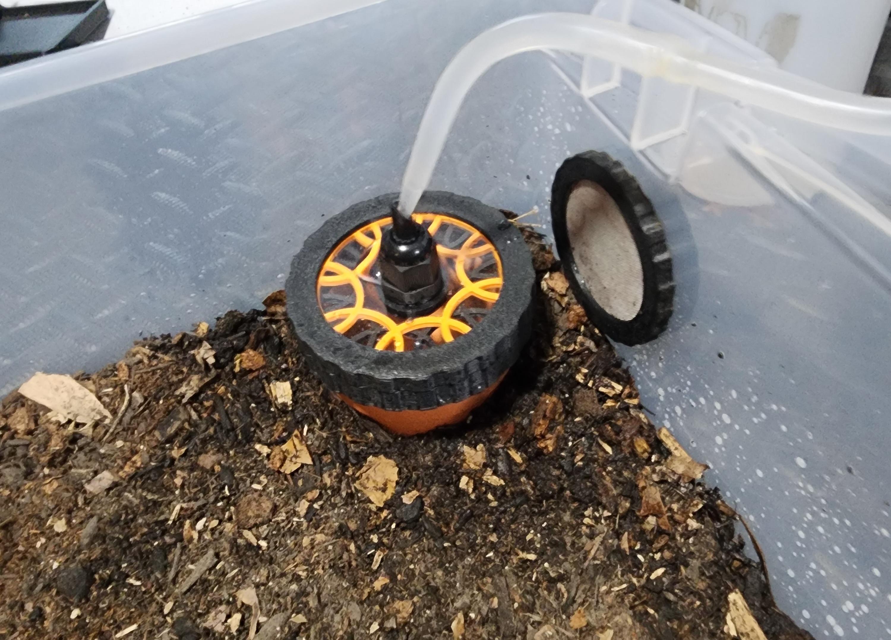 Terra-pod, Slow Wicking Ollas Style Pods for Invertebrate Bins ...
