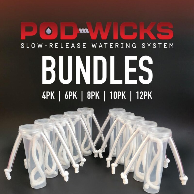 Terrarium Decor - Etsy