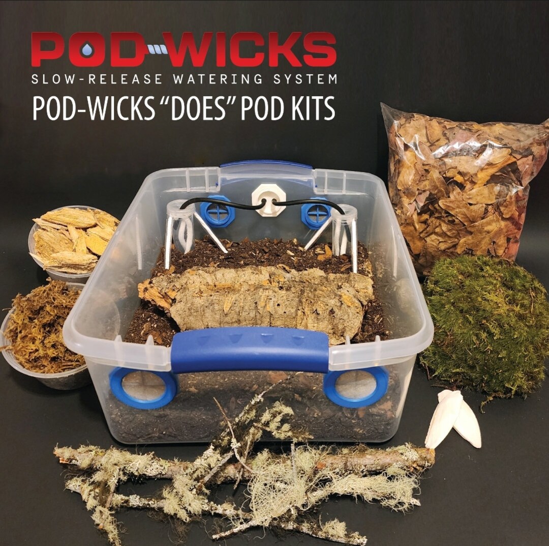 Invertebrate Habitat Kit - Etsy