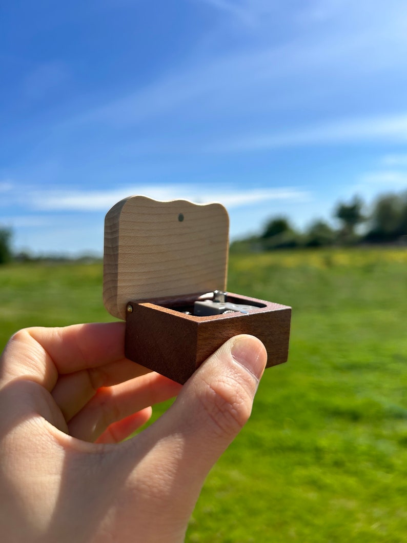 Le Petit Prince Music Box / Moon River /valentine Gift - Etsy Australia