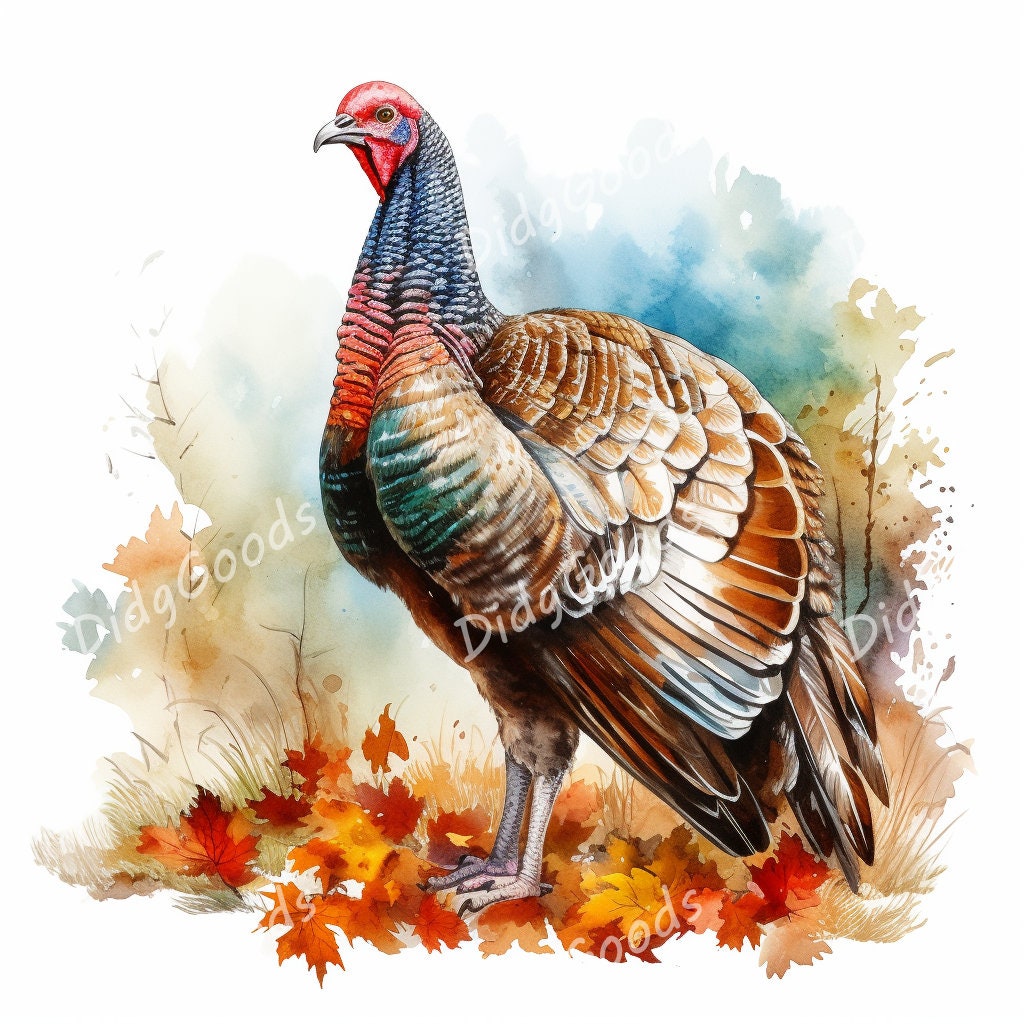 Festive Turkey Clipart Bundle, Thanksgiving Illustrations (digital ...