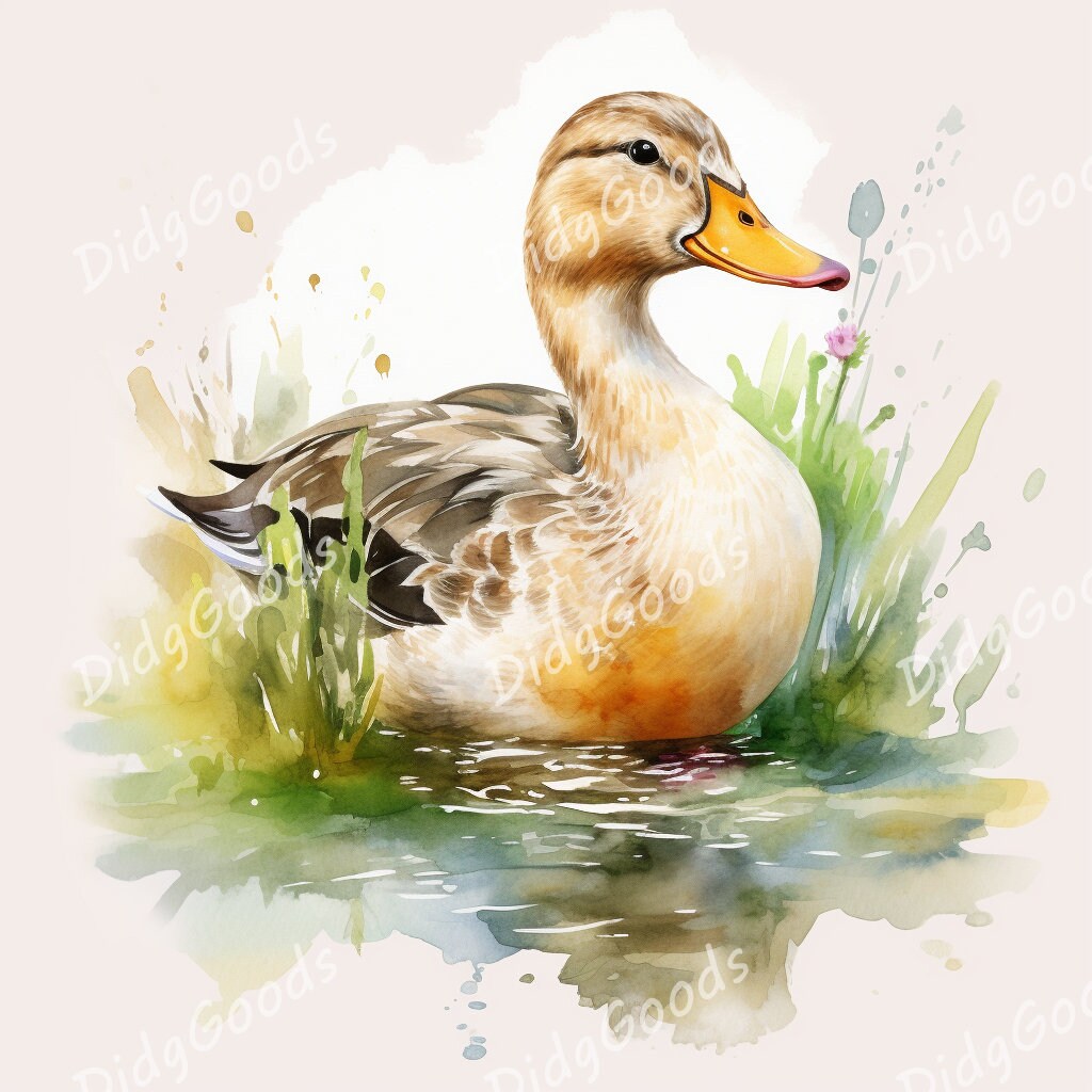 Duck Clipart Bundle - 14 High Quality Jpgs | Digital Download for Card ...