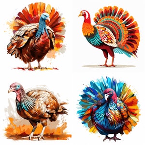 Turkey Clipart Bundle 16 High Quality Jpgs, 4267x4267 Pix, 300 DPI ...