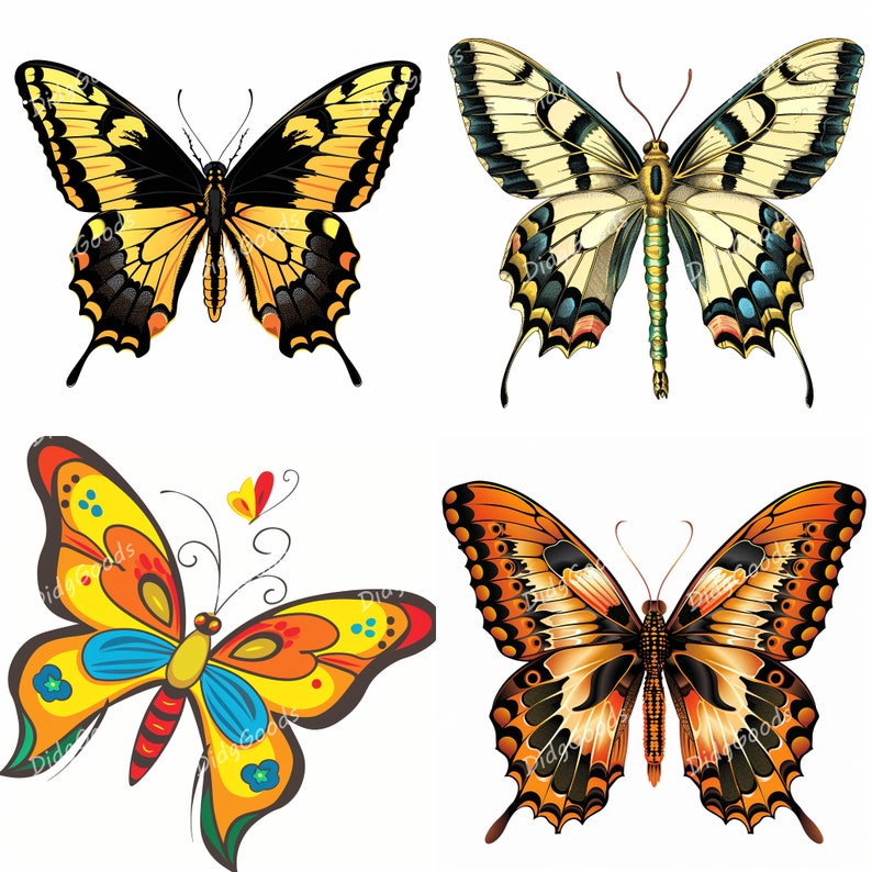 Butterfly Clipart Bundle 24 High Quality Pngs 4000x4000 Pix, 300 DPI ...