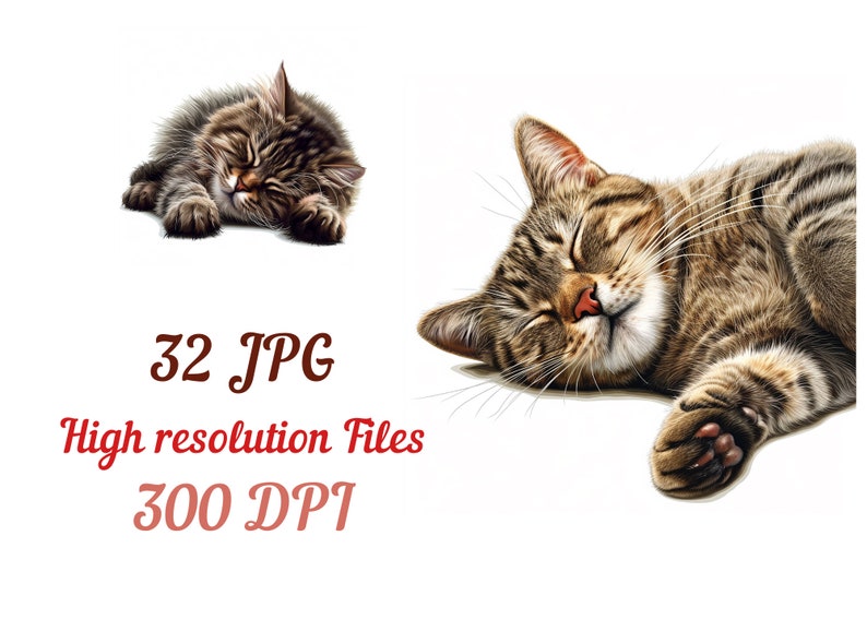Slipping Cat Cute Clipart Bundle 32 High Quality Jpgs, Digital Download ...