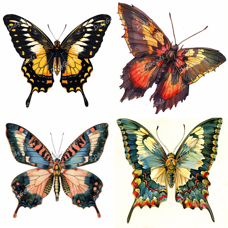 Butterfly Clipart Bundle 24 High Quality Pngs 4000x4000 Pix, 300 DPI ...