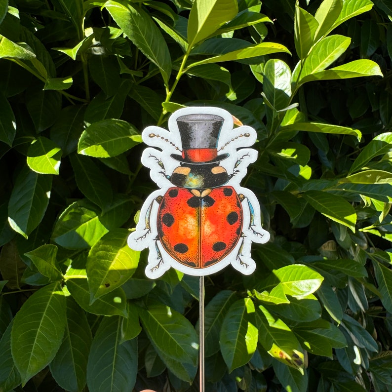 Fancy Ladybug Waterproof Sticker Glossy Water Bottle Laptop - Etsy