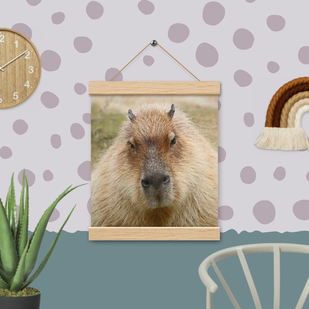 Capybara Poster With Hangers Capybara Poster Capybara Art - Etsy
