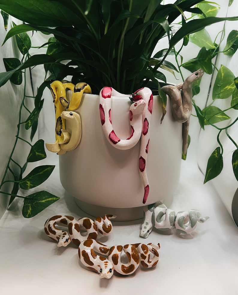 Polymer Clay Snake Pot Plant Decor - Etsy Australia
