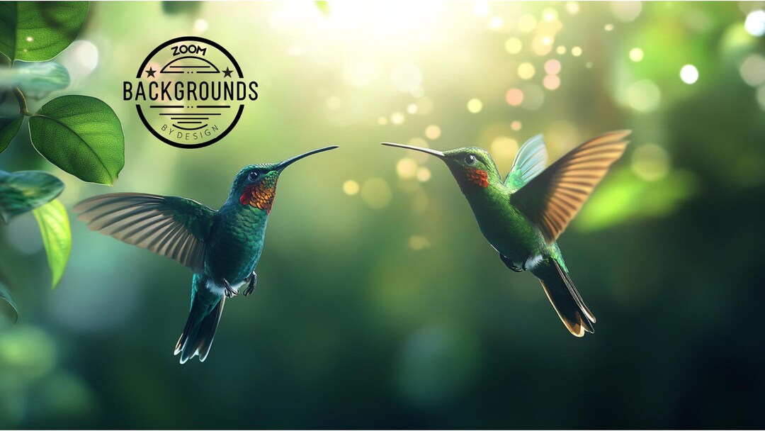 Virtual Back Grounds for Zoom Meetings, Background Zoom MS Webex Skype Meeting in 16:9 WFH ...