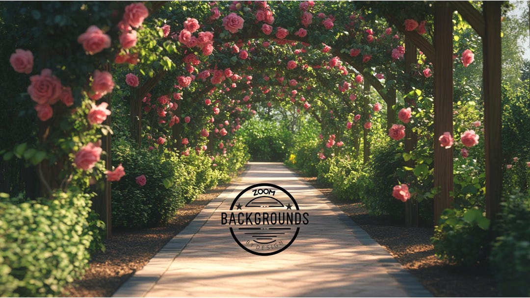 Virtual Back Grounds for Zoom Meetings, Background Zoom MS Webex Skype ...