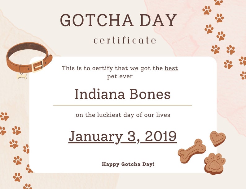 Gotcha Day Certificate for Your Rescue Pet - Etsy Australia