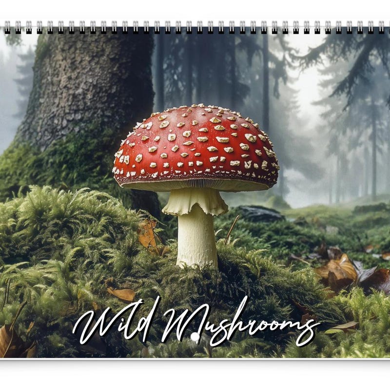 2026 Fungi Calendar - Etsy
