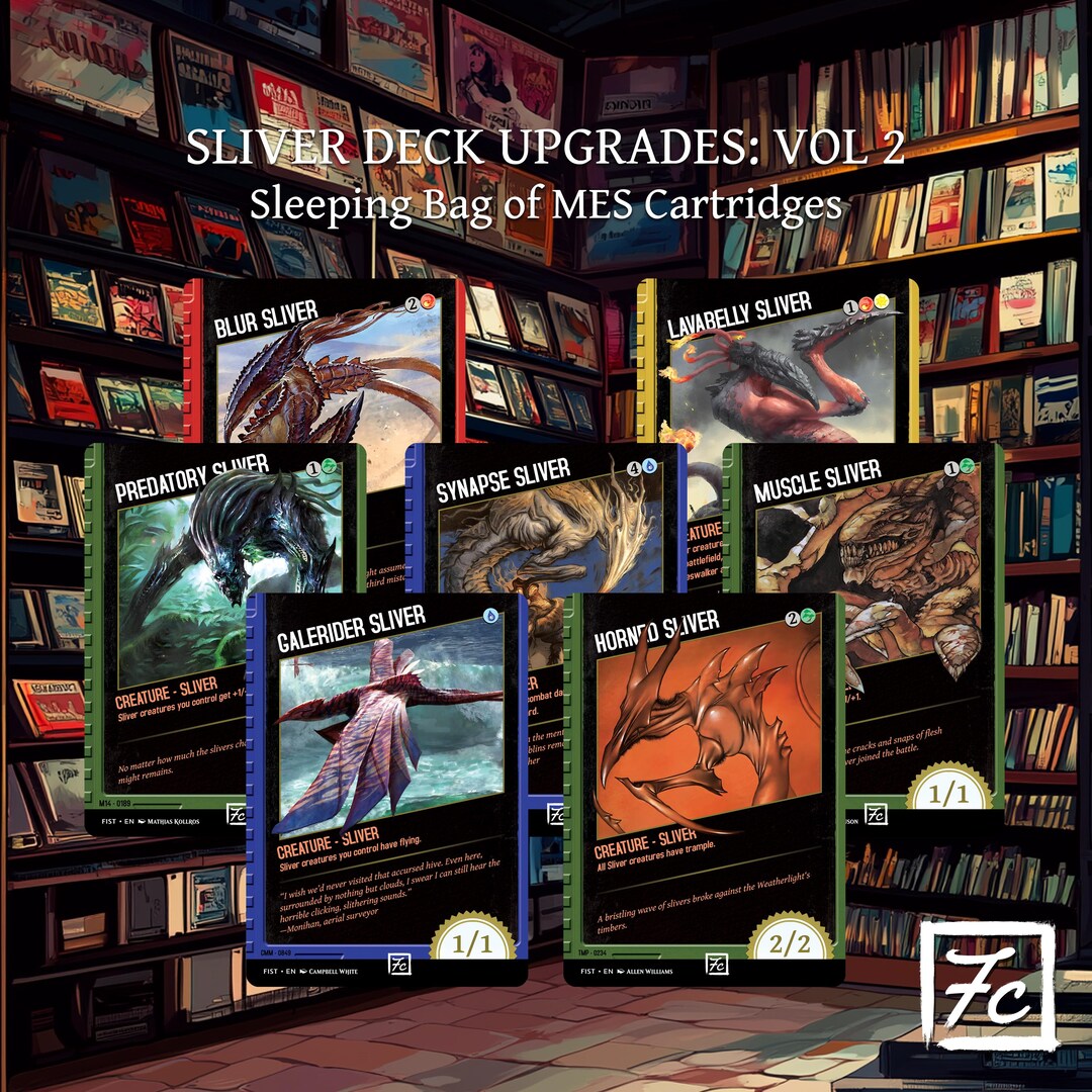 Sliver Deck Upgrades: Vol 2 ~ Sleeping Bag of MES Cartridges - Etsy