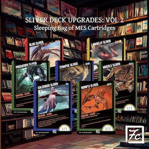Sliver Deck Upgrades: Vol 2 ~ Sleeping Bag of MES Cartridges - Etsy