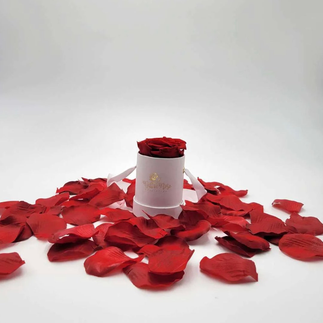 Custom Single Preserved Rose in a Round Box - Etsy