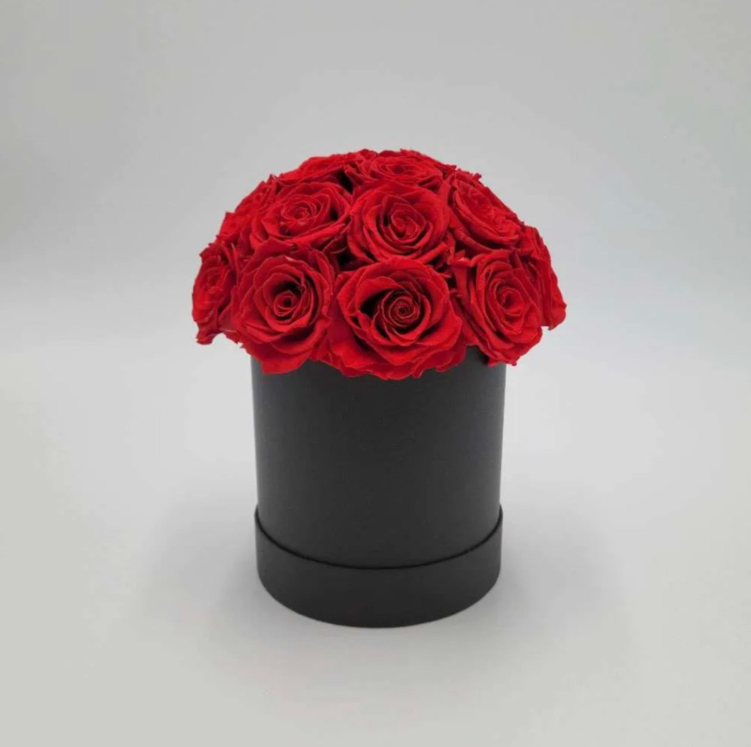 Bella Rose Dome Box ( Gift ), Preserve Roses, Handmade, Real Roses, - Etsy
