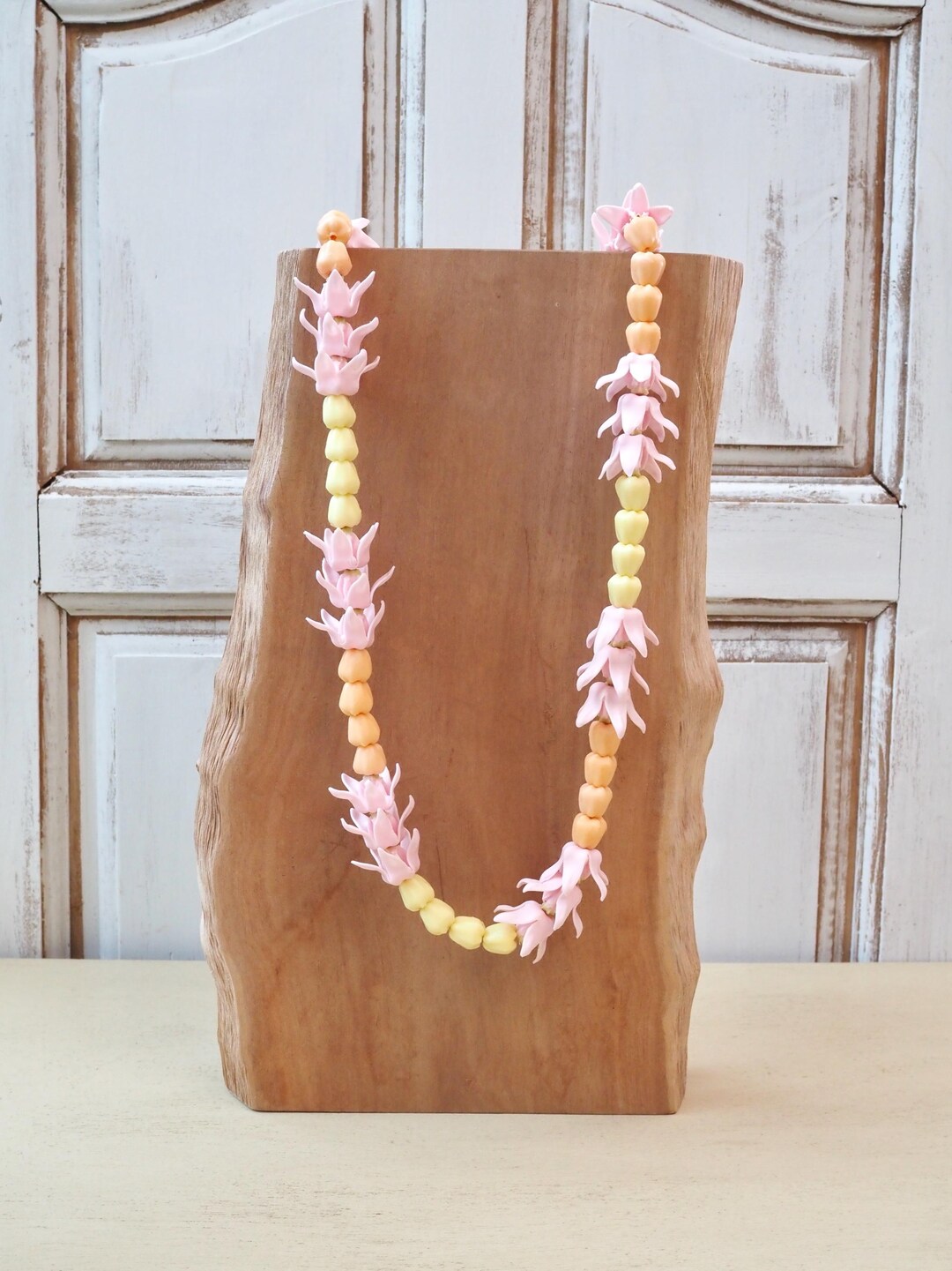 Yellow & Orange Crown Flower Bud and Pink Crown Flower With Outer ...