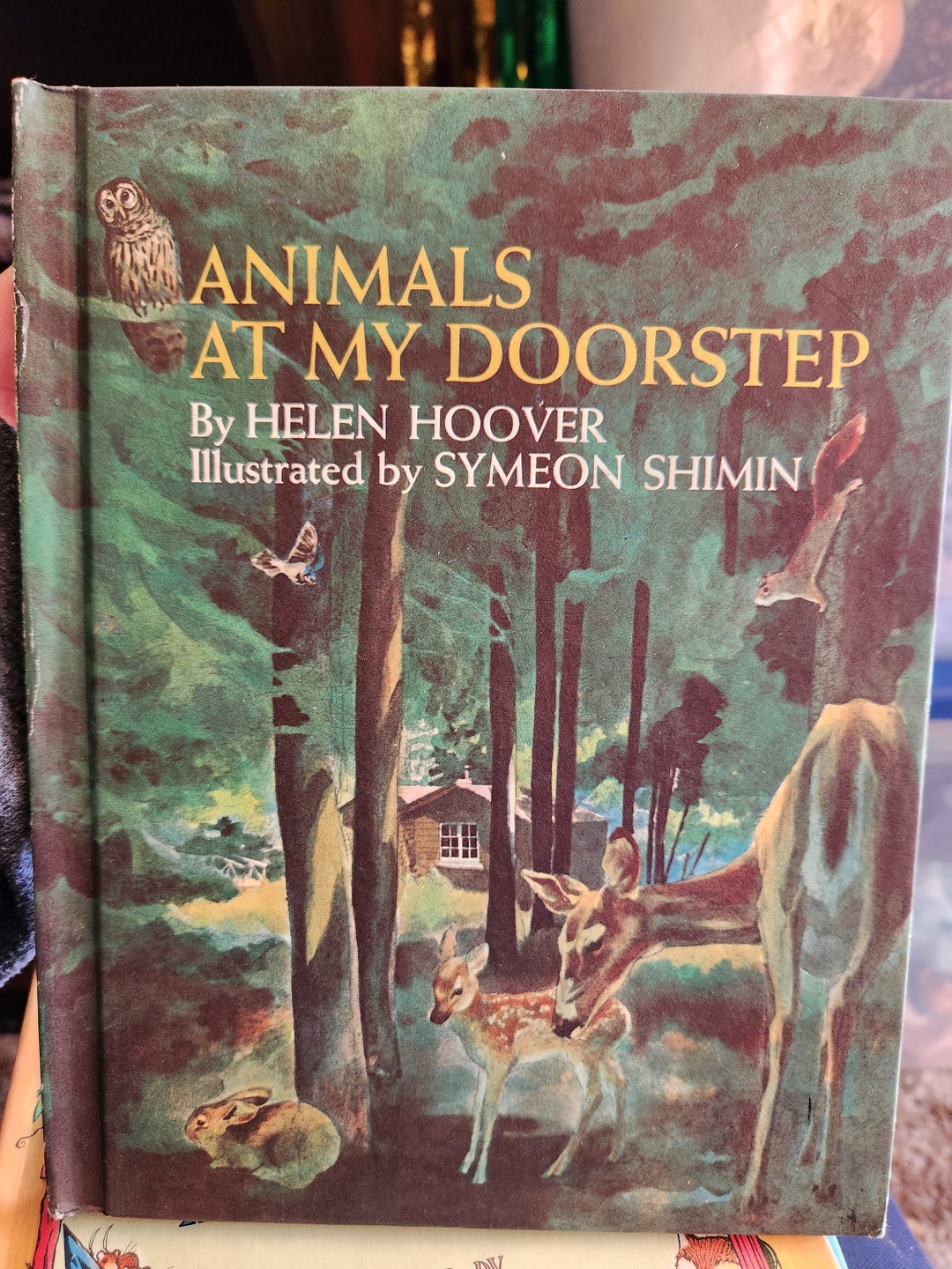 Vintage 1966 Animals at My Doorstep by Helen Hoover Book - Etsy