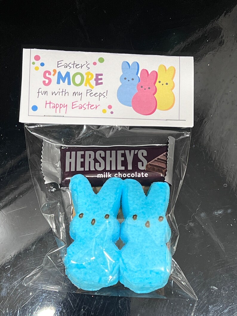 Easter's S'more Fun With My Peeps - Etsy