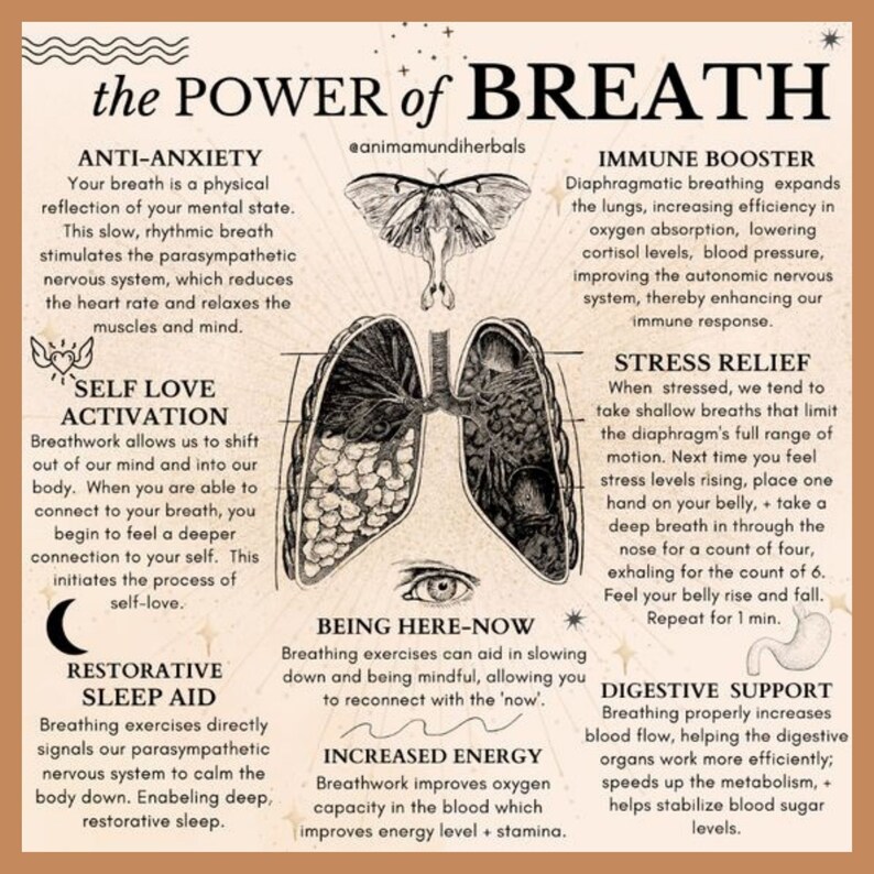 Guided Pranayama Breathing Video Instructional Breathing Guide| Wim Hof ...