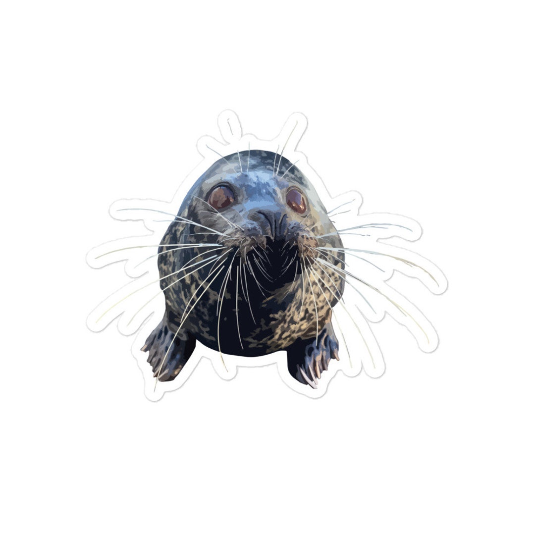 Harbor Seal Sticker - Etsy