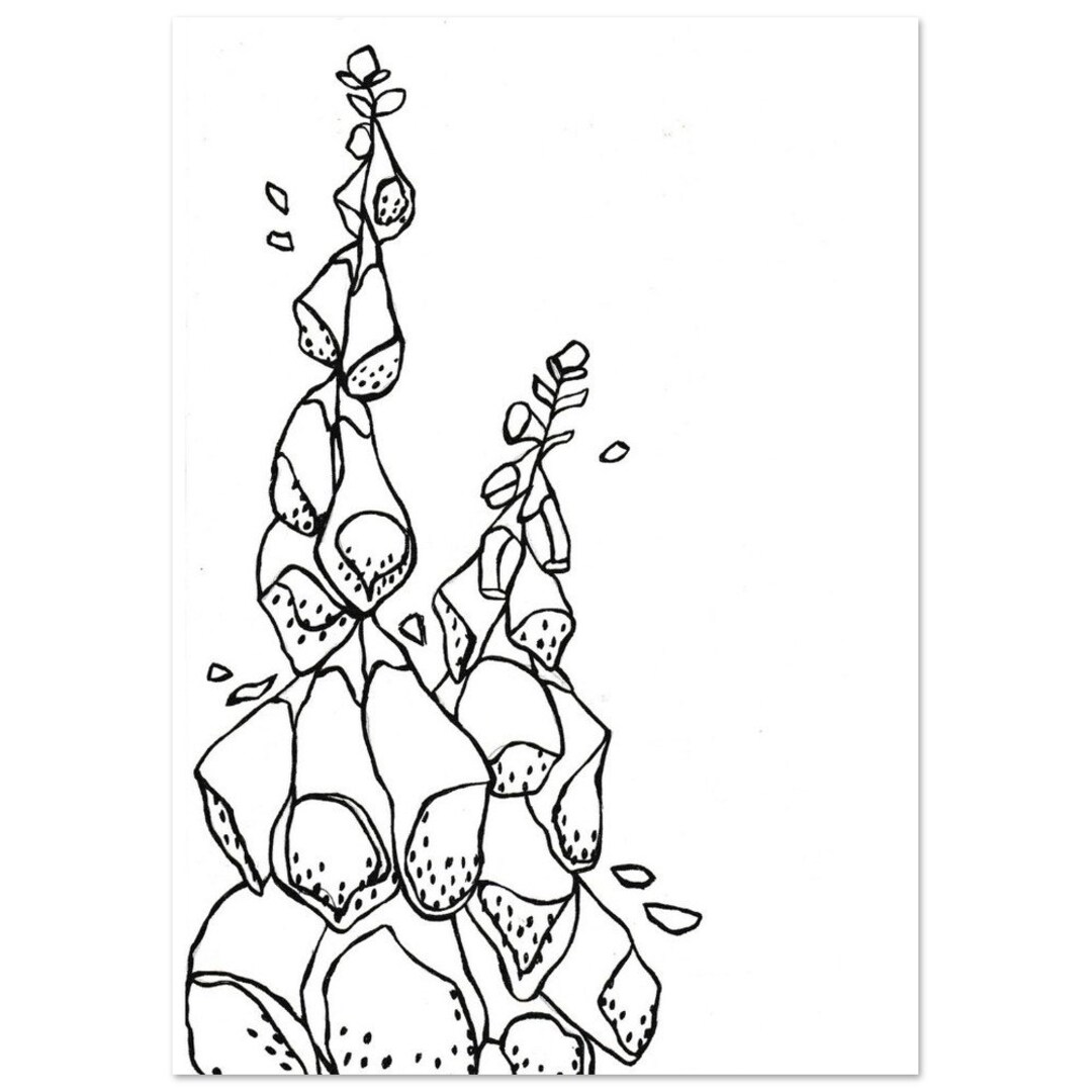 Foxglove, Wild Flower, Line Drawing Poster Art Print - Etsy