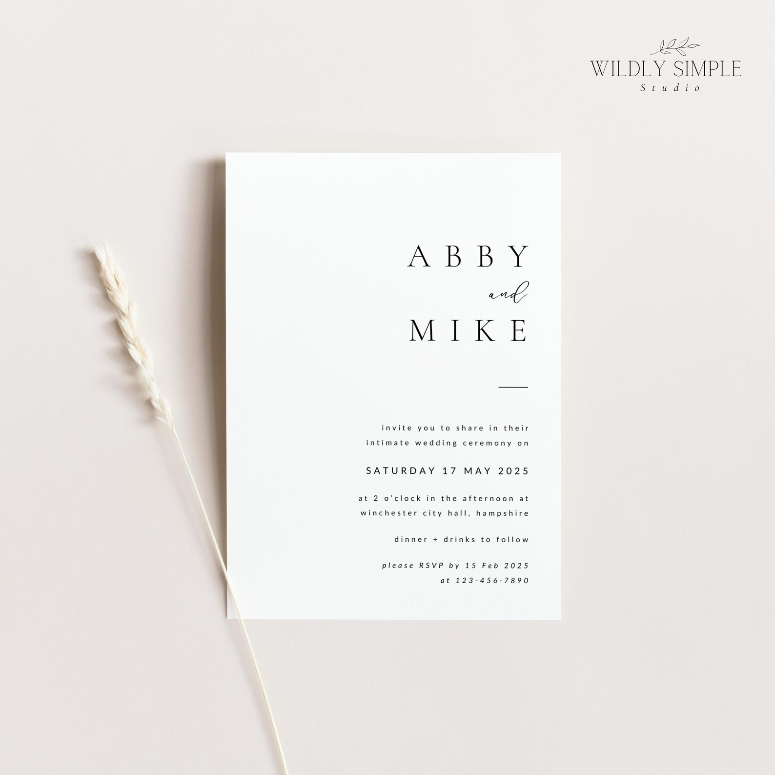 Intimate Wedding Ceremony Invitation, Nothing Fancy Micro Reception ...