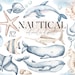 Watercolor Nautical Printable Clipart Ocean Life Marine Digital Print ...