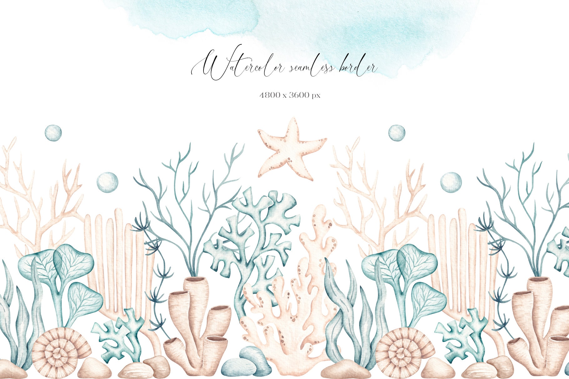 Underwater Plants Printable Clip Art. Nautical Composition Png. Coral ...