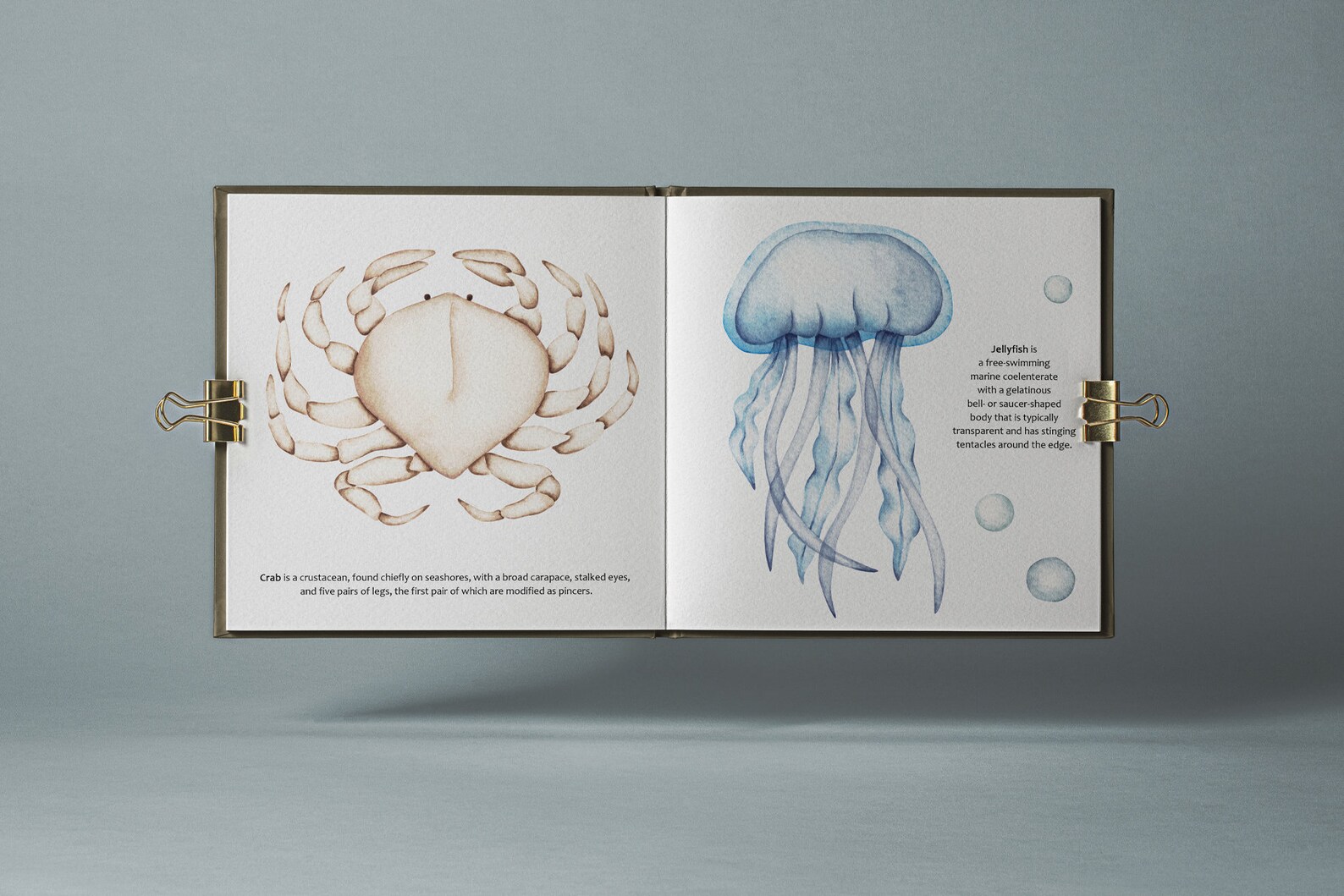 Watercolor Nautical Printable Clipart Ocean Life Marine Digital Print ...