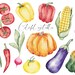 Vegetable Clip Art Healthy Food Organic Products Vegan Digital Print ...