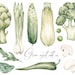 Vegetable Clip Art Healthy Food Organic Products Vegan Digital Print ...