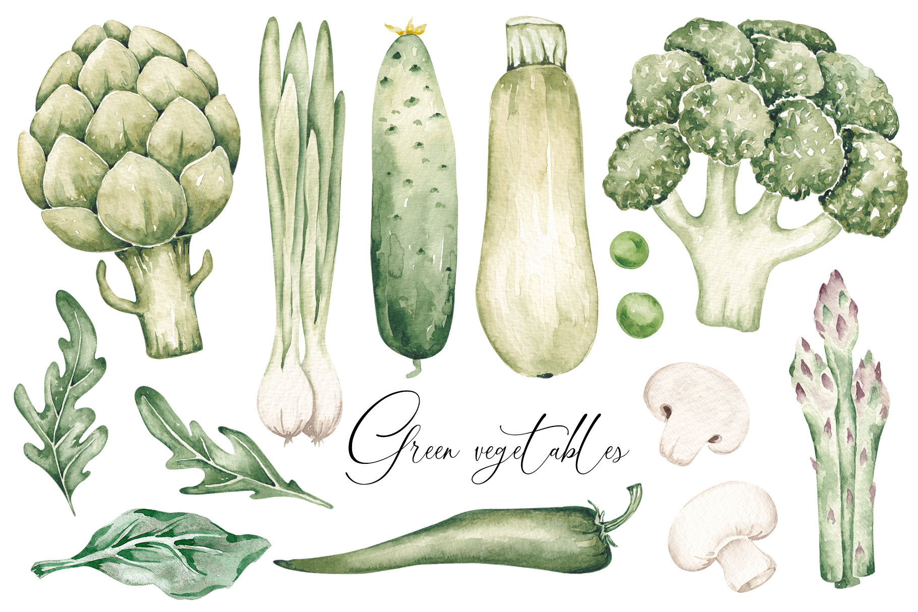 Vegetable Clip Art Healthy Food Organic Products Vegan Digital Print ...