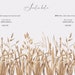 Wheat Field Seamless Border. Summer Field Plants Printable Design ...