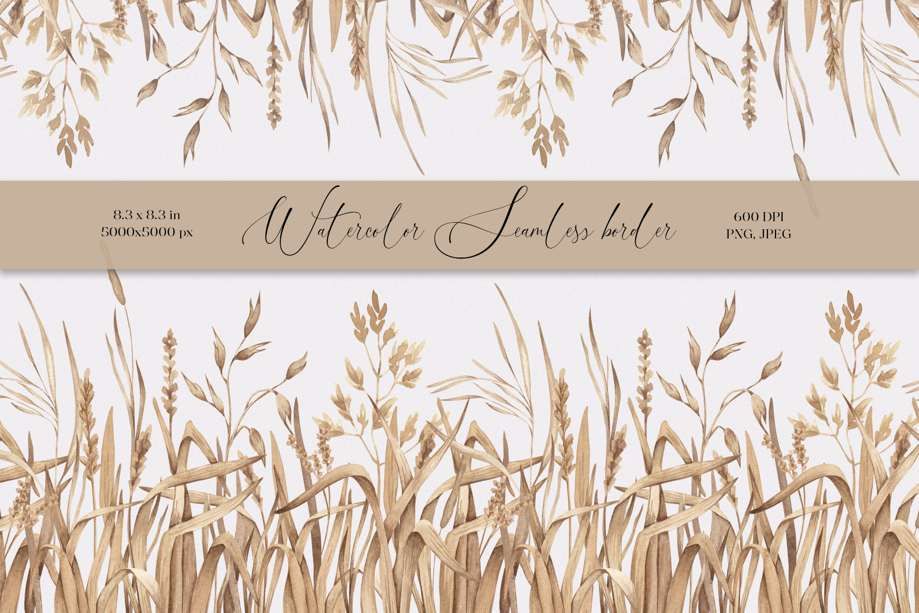 Wheat Field Seamless Border. Summer Field Plants Printable Design ...