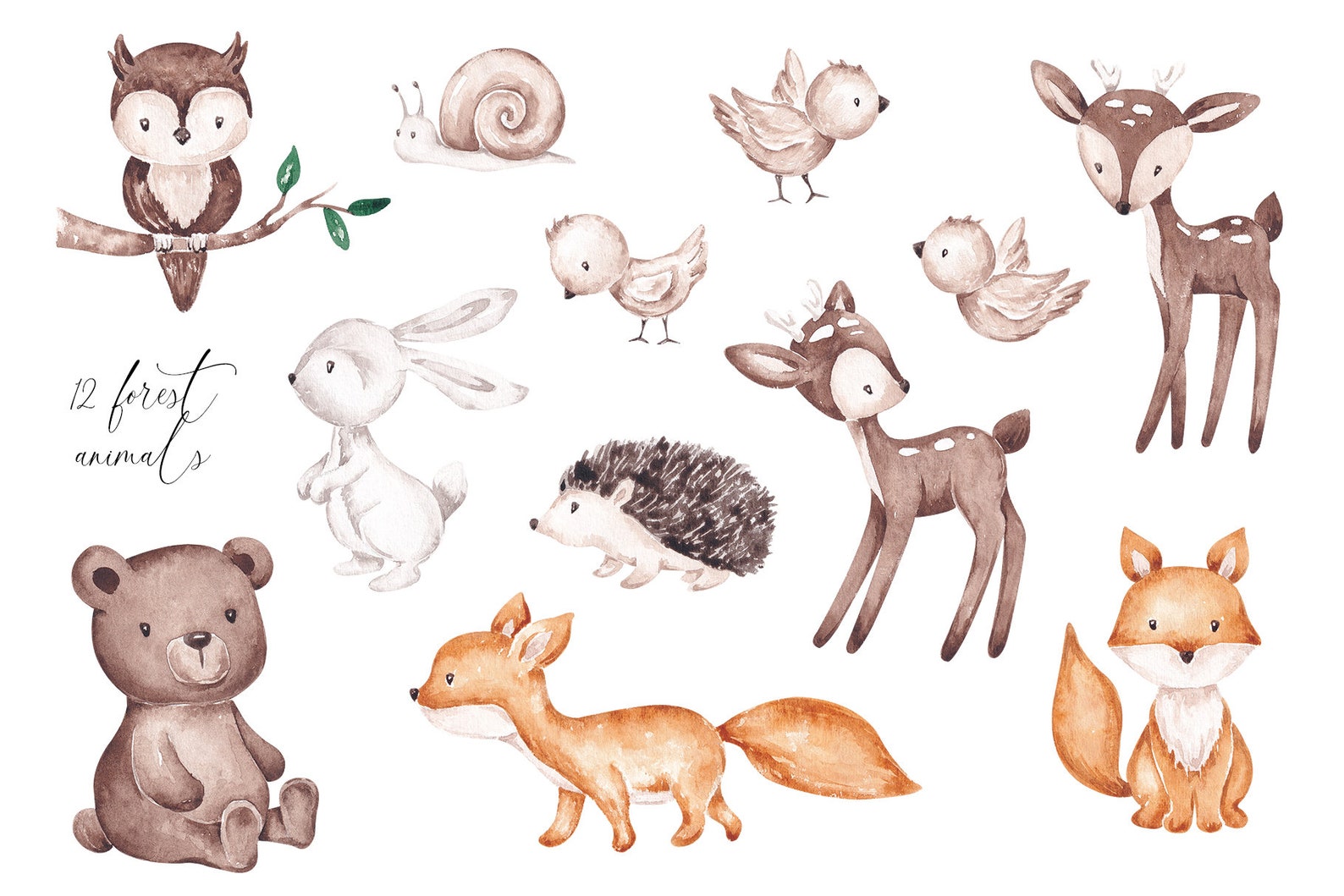 Woodland Animals Printable Clipart Forest Animals Digital Print ...