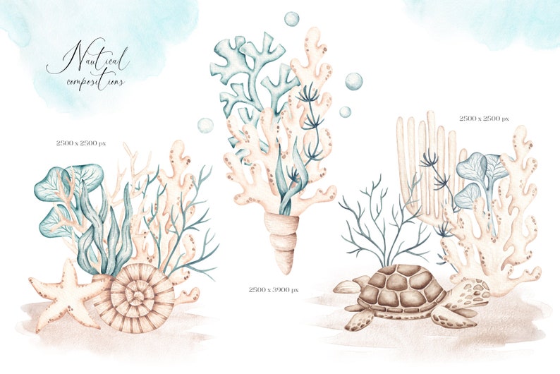 Underwater Plants Printable Clip Art. Nautical Composition Png. Coral ...