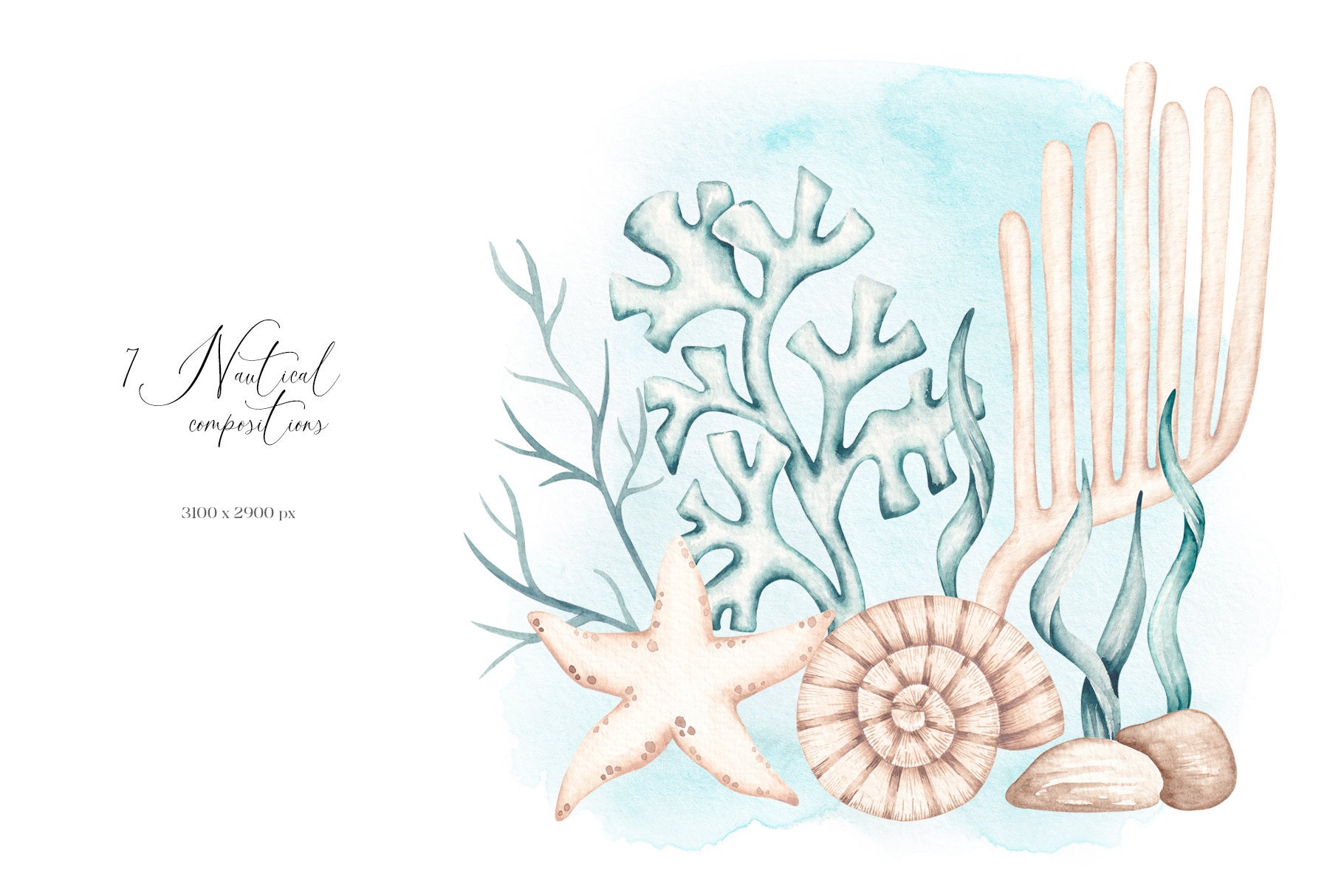 Underwater Plants Printable Clip Art. Nautical Composition Png. Coral ...