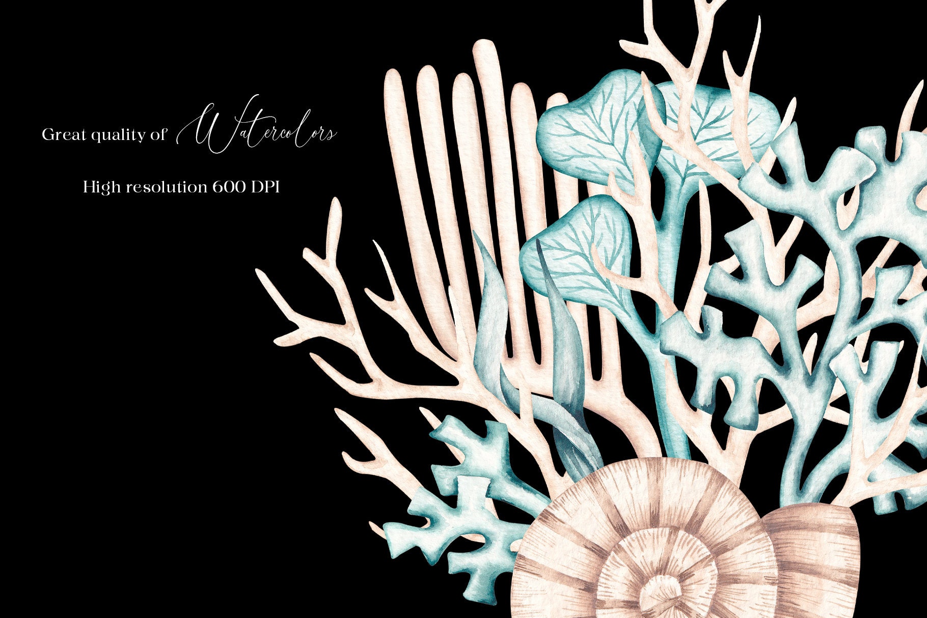 Underwater Plants Printable Clip Art. Nautical Composition Png. Coral ...