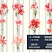 Amaryllis Clipart - Printable Images, Transparent Background, Instant ...