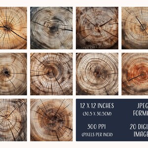 Tree Ring Digital Images, Printable Digital Paper, Instant Download ...