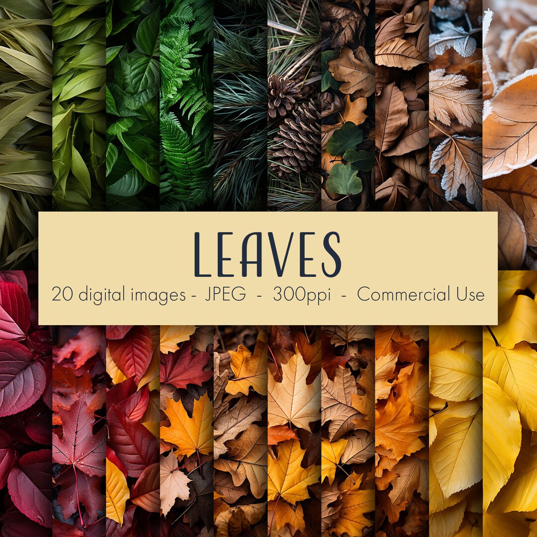 Leaves Digital Images, Printable Digital Paper, Instant Download ...