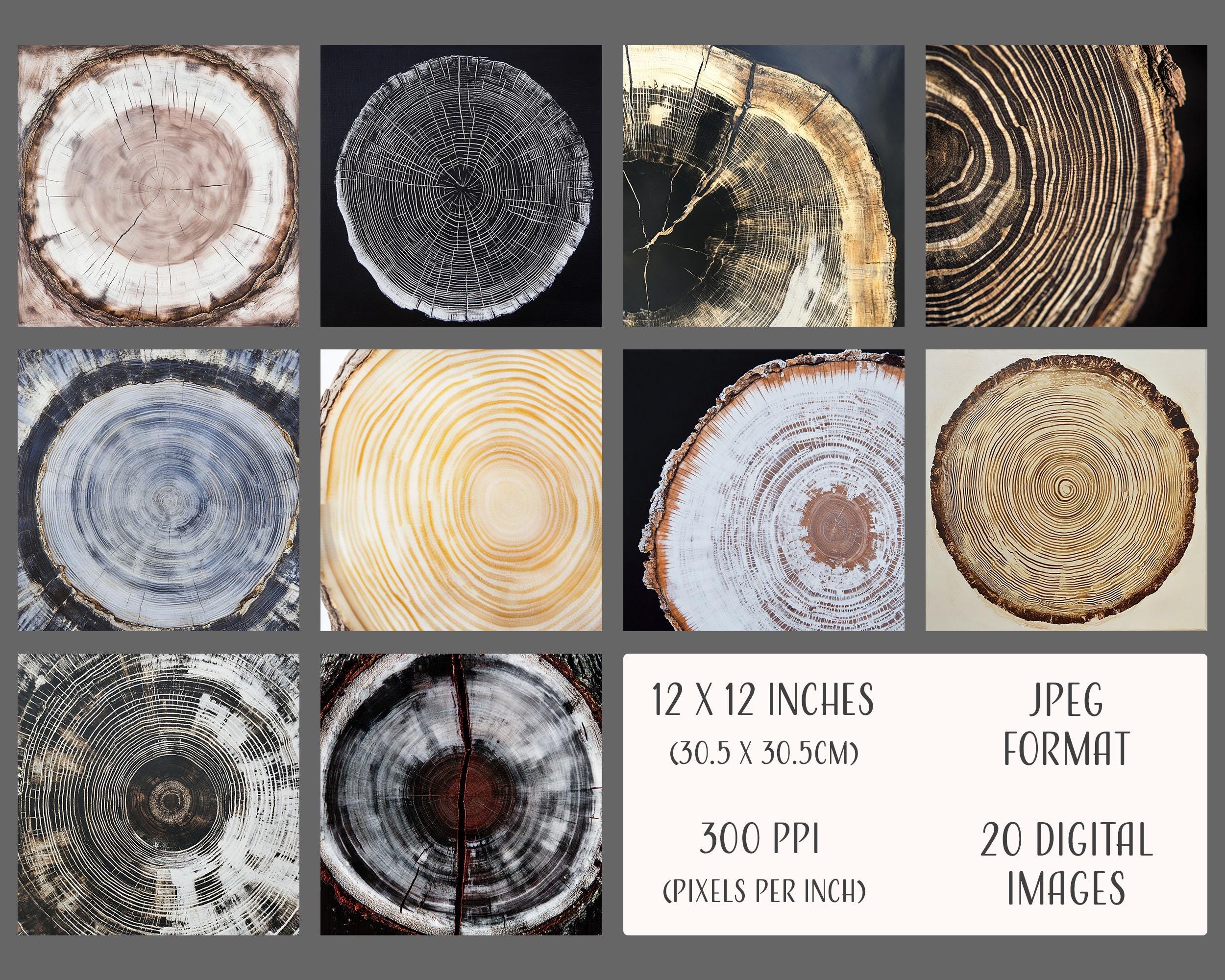 Tree Rings Digital Images, Printable Digital Paper, Instant Download ...